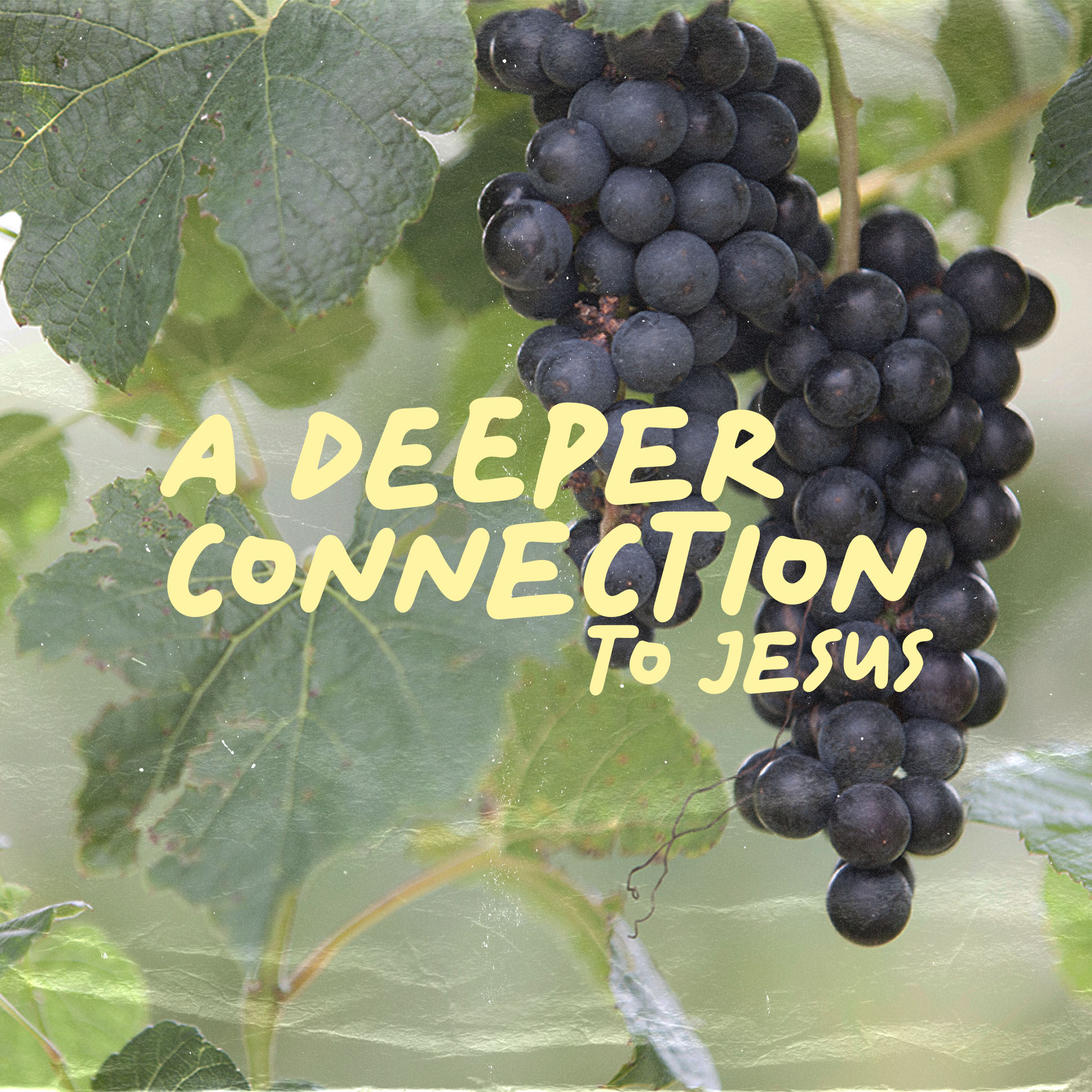 A Deeper Connection to Jesus (Revisited) - Christ Community Church